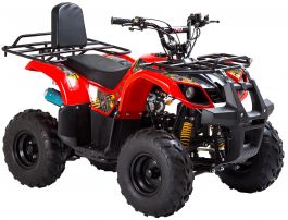 ATV X-Pro Worker 110cc